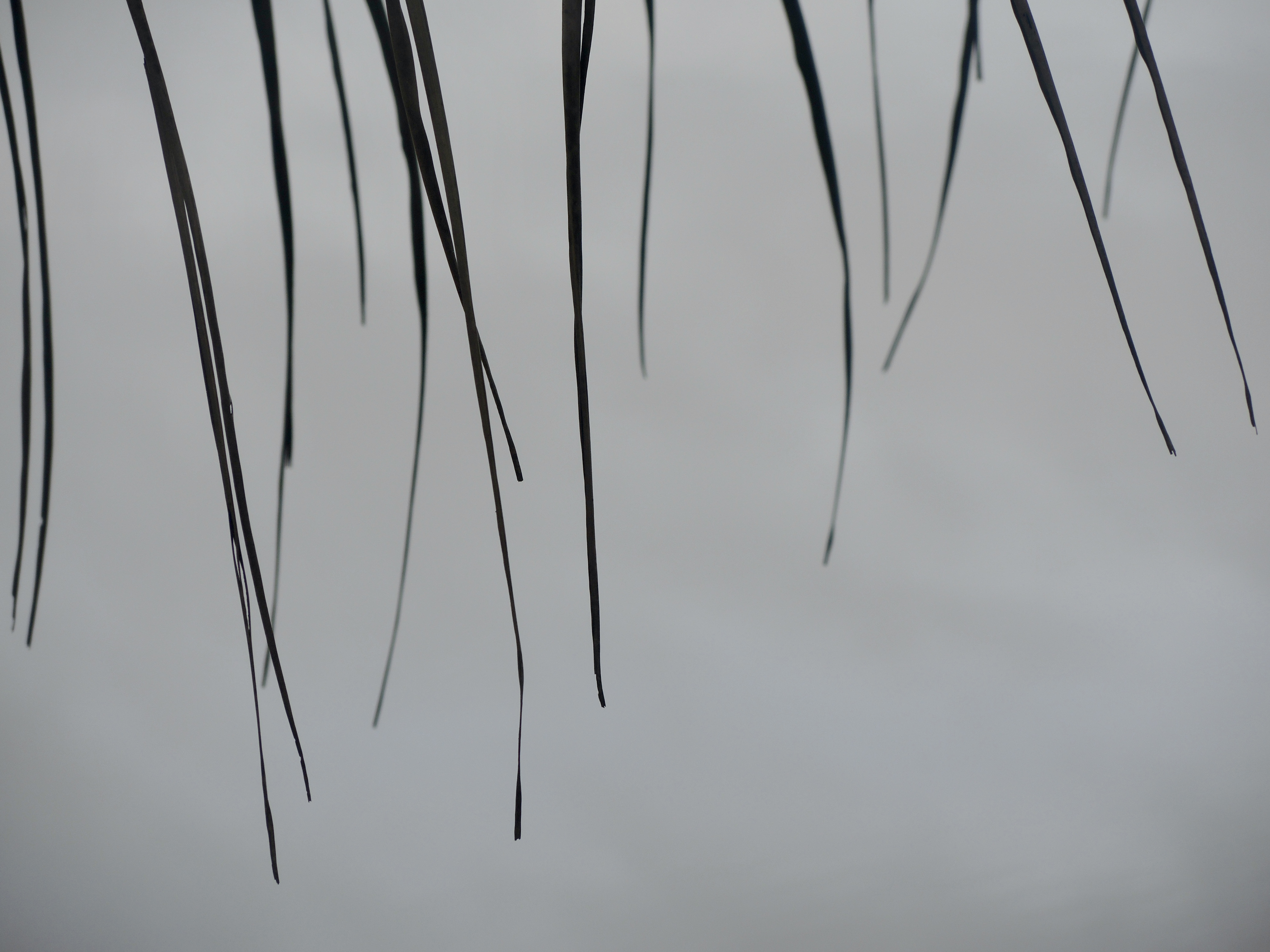 Lunawa Lagoon – Perspectives